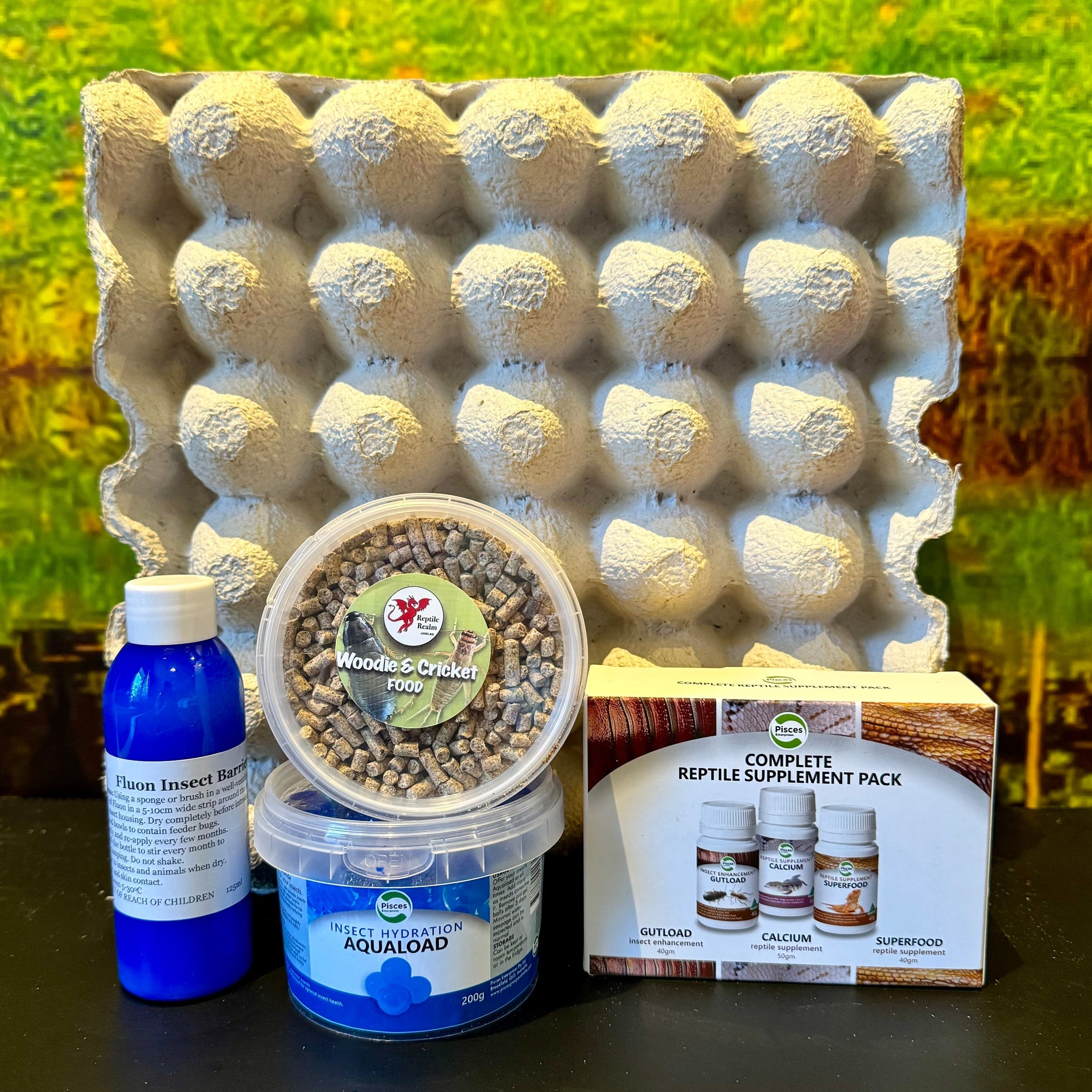 How do I keep bulk crickets? Setting up bulk Cricket Storage Container ...