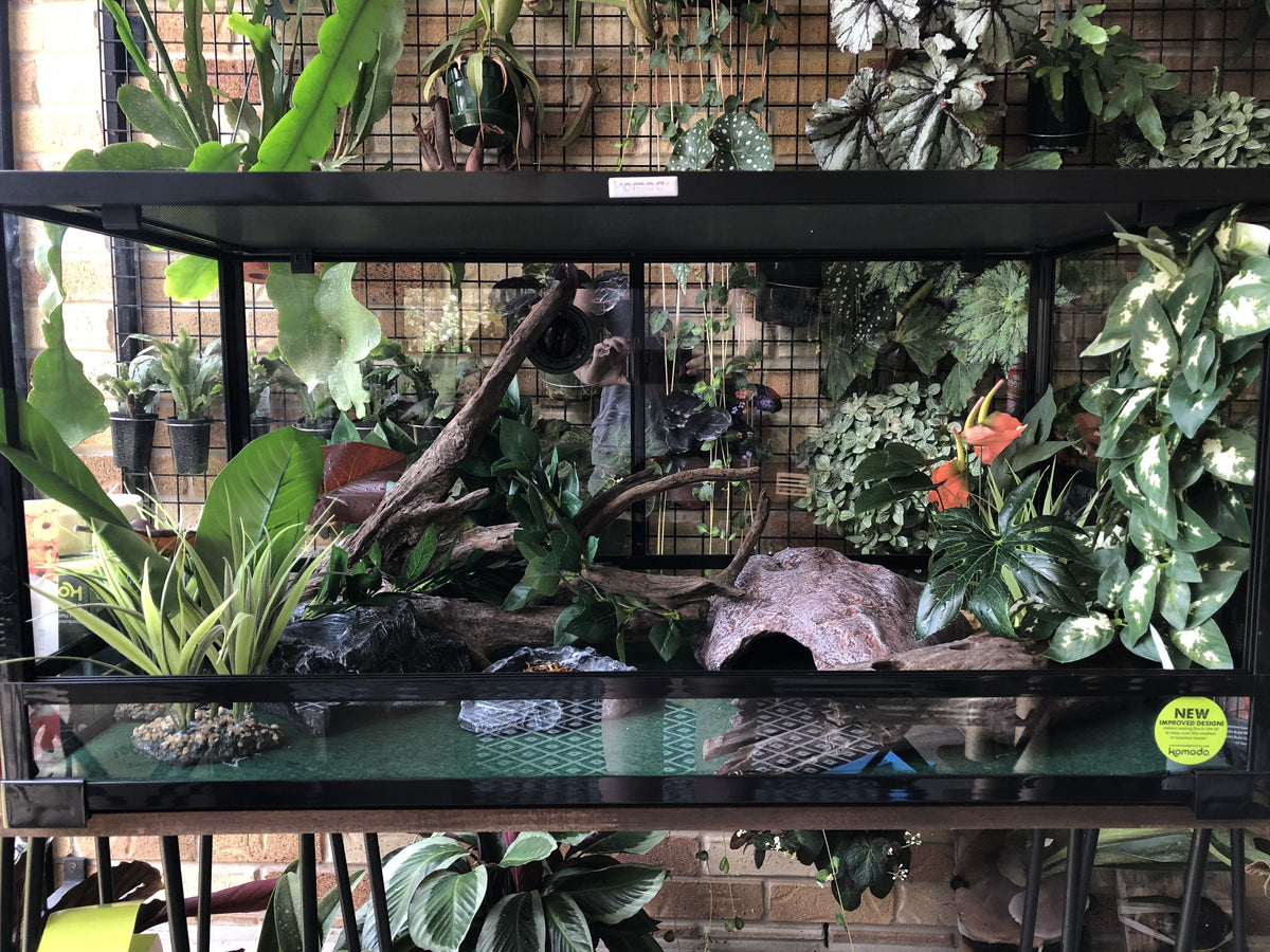 Habitats & Terrariums – Reptile Realm