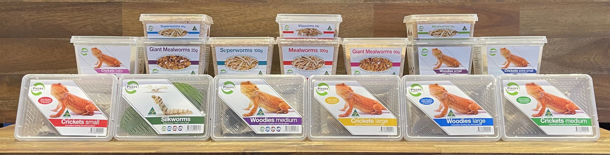 Live Food Insect Tubs - Reptile Realm Australia