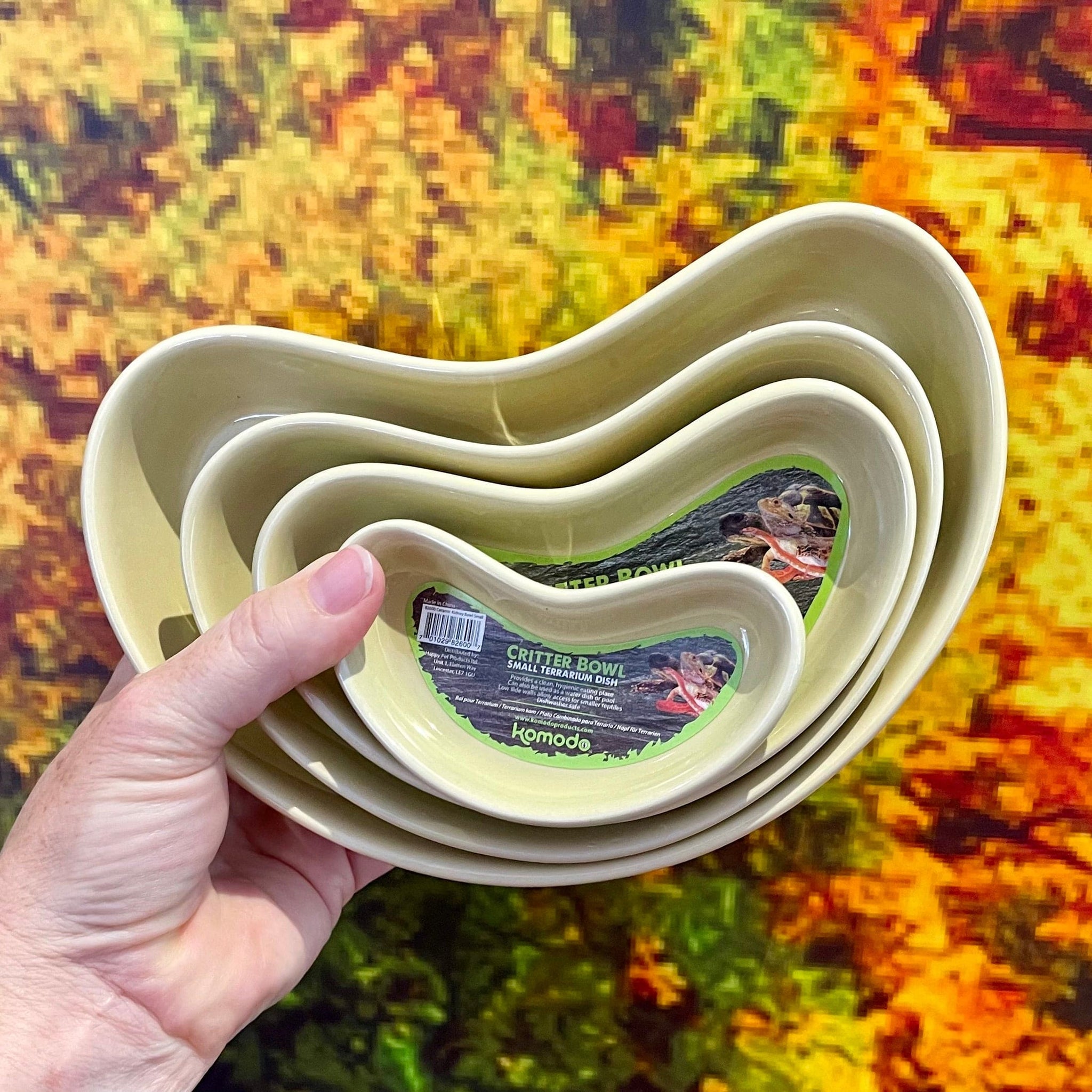 Komodo Reptile Critter Bowls - Set of 4 nesting bowls – Reptile Realm