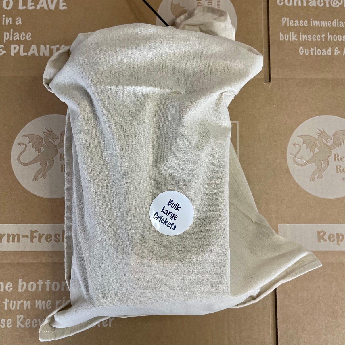 Bulk Large Crickets - Bulk Live Crickets – Reptile Realm