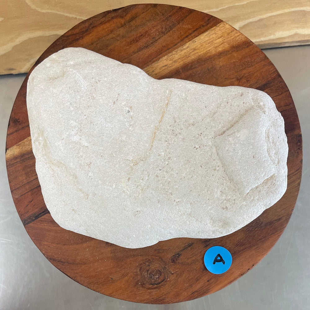 Natural Basking Rock - Piece A – Reptile Realm