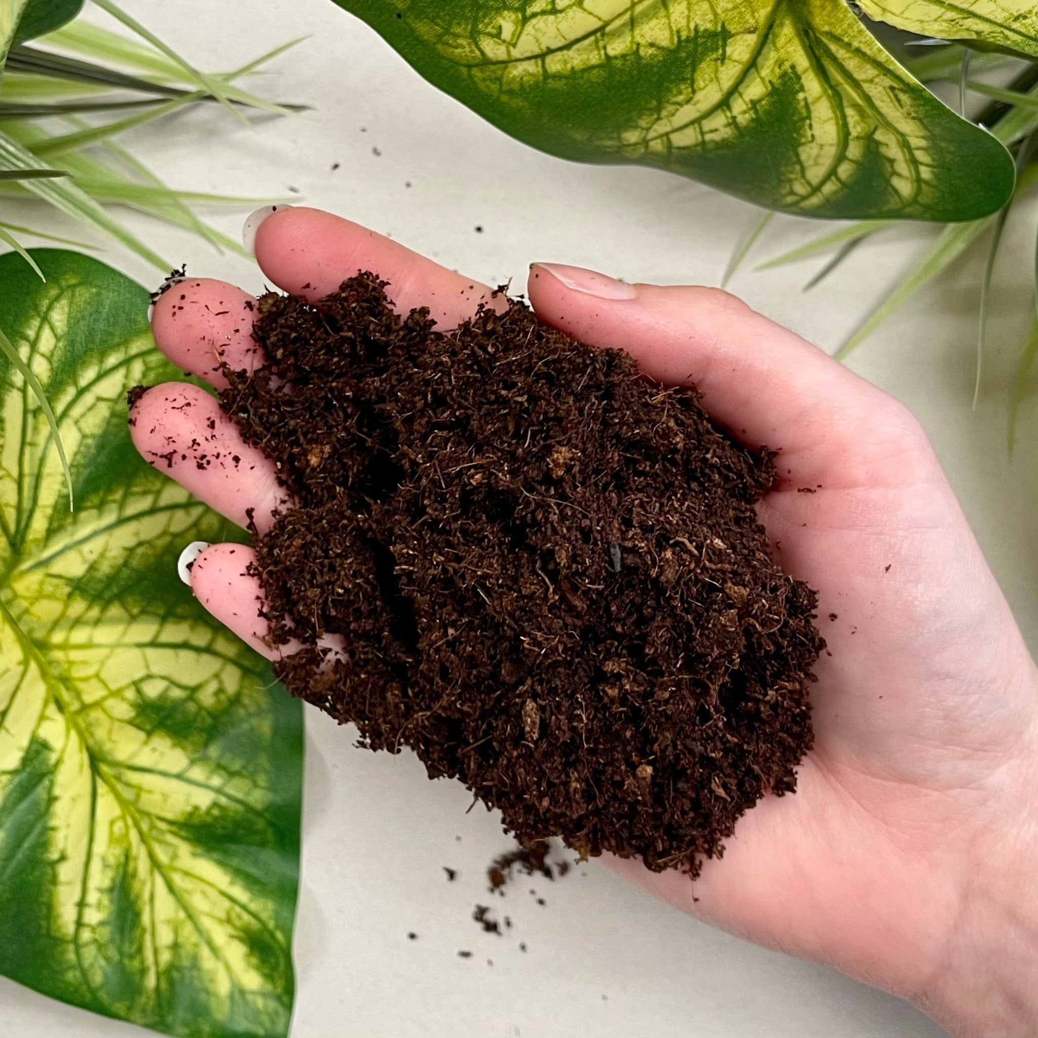 Reptile Realm Tropical Bedding Substrate - 12 litres - Reptile ...