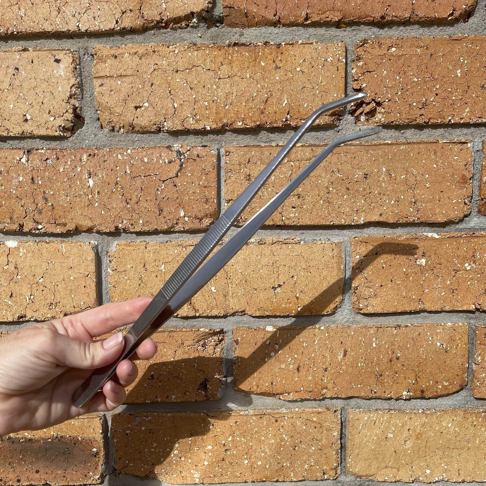 Komodo Angled Feeding Tongs for reptiles, birds & insects – Reptile Realm