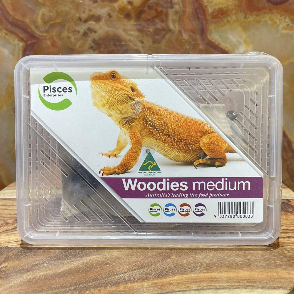 Live Food Insect Tubs - Reptile Realm Australia