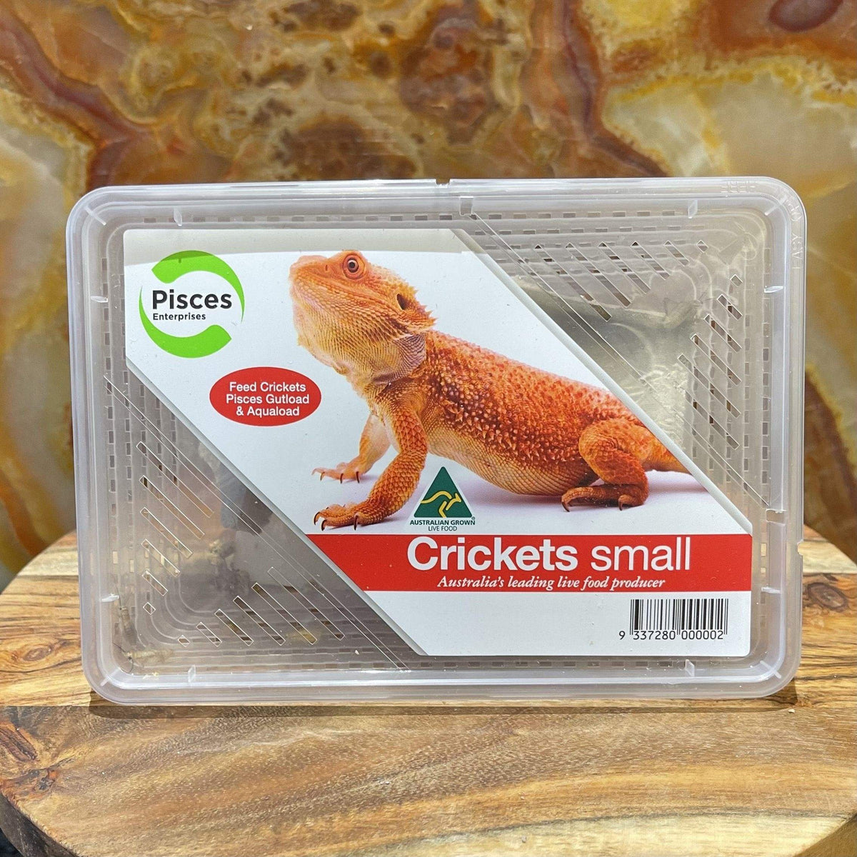 Live Food Insect Tubs - Reptile Realm Australia