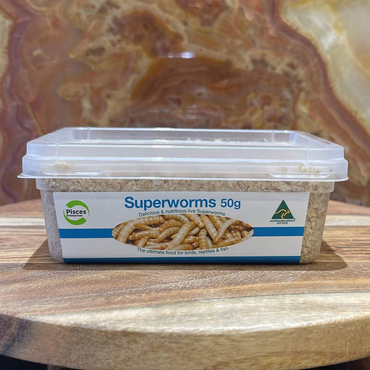 Superworms 50g Tub LiveFood Insects Delivered Fast from Reptile Realm