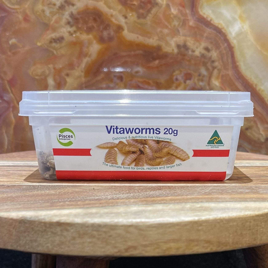 Vitaworms - Black Soldier Fly Larvae (BSFL) - Reptile Realm Australia